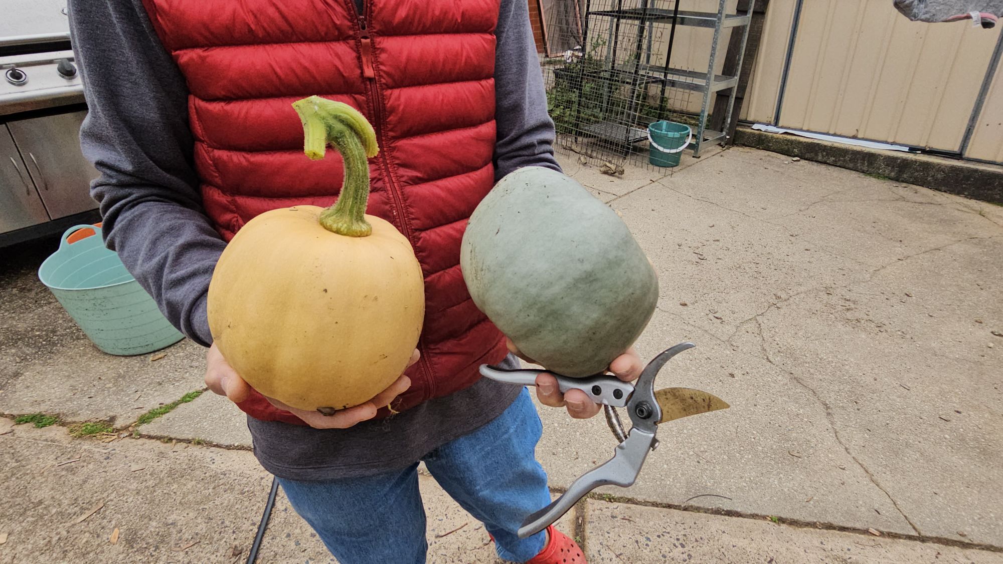 Pumpkin | leonieandrews